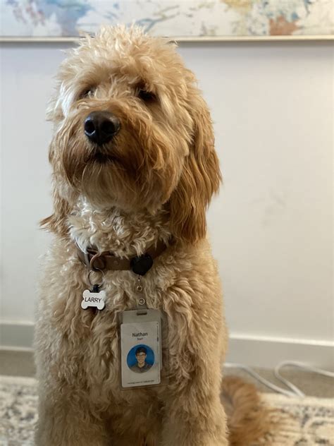 Sagnik Ghosh Posted On Linkedin