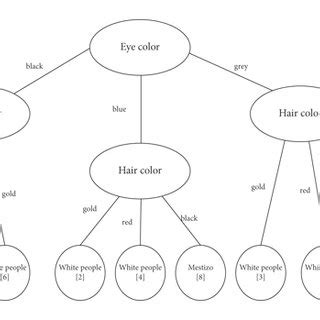 Preliminary Construction Of Decision Tree Download Scientific Diagram