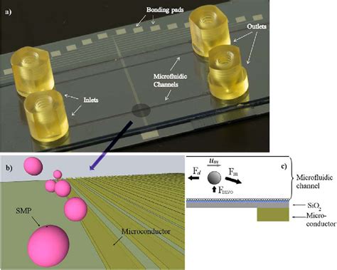 Figure 1 From On Chip Microfluidic Biosensor Using Superparamagnetic