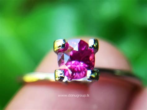 Ceylon Ruby Danu Group