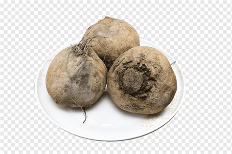 음식 비트 뿌리 야채 유기 생산 뿌리 채소 플레이트 Png Pngwing