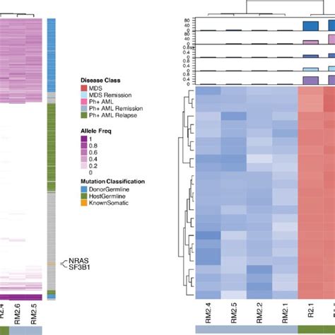 Whole Exome Sequencing And Rna Sequencing Gene Expression Profiling