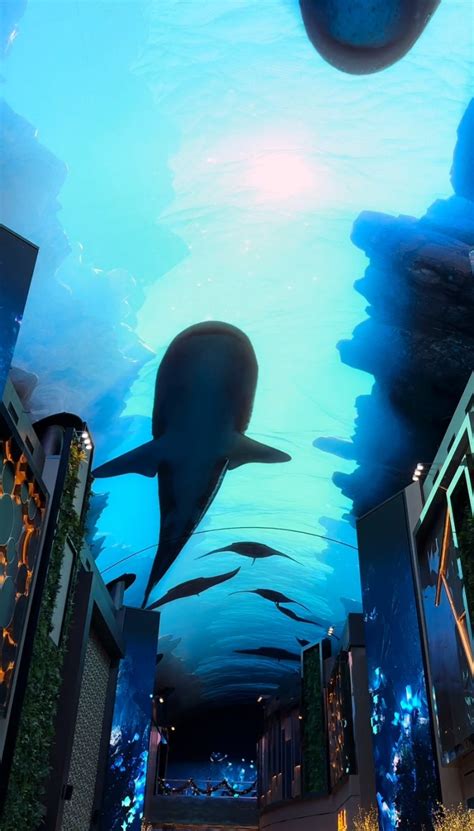 영종도 인스파이어 엔터테인먼트 리조트 솔직 후기 포레스트 타워 디럭스 킹 스플래시 베이 실내 수영장 조식 후기 네이버 블로그