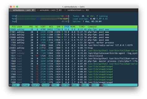 Hosting Wordpress Yourself At Scale Part 1 Dedicated Database Server Spinupwp
