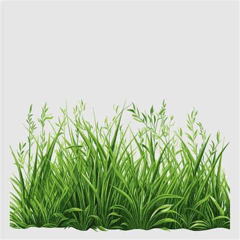 Premium Vector Grass Vector For Your Design