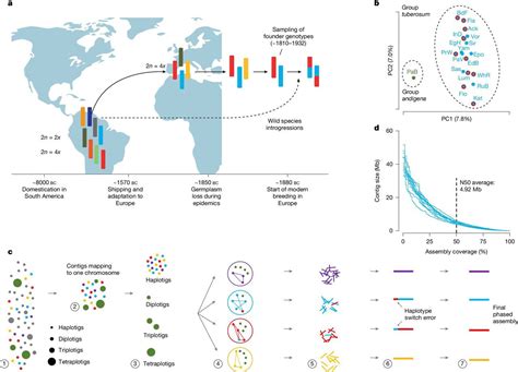 European Potato Genome Decoded Researchers Find Small Gene Pool With Large Differences