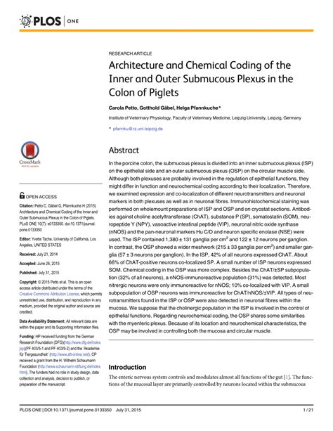 Pdf Architecture And Chemical Coding Of The Inner And Outer Submucous Plexus In The Colon Of