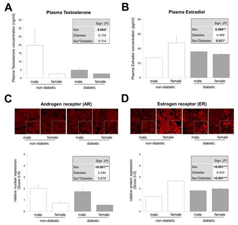 Sex Hormone Levels And Expression Of Sex Hormone Receptors In Both Download Scientific Diagram