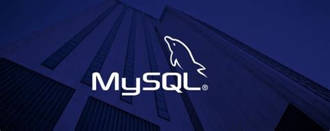 Plsql可以连接mysql吗 Python基础教程