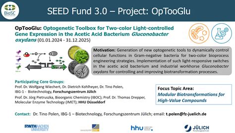 Example From Gluconobacter Oxydans Expression Systems