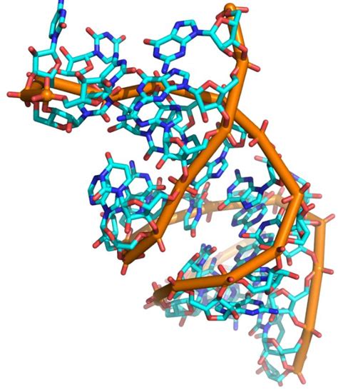 Figure 11 From Aminormotiffinder A Graph Grammar Based Tool To