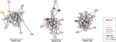 Co Occurrence Networks Of Connected Microbial Clusters Modules Of
