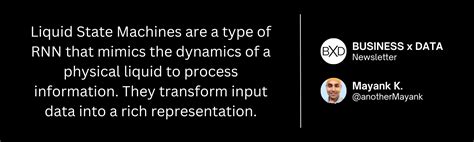 Bxd Primer Series Liquid State Machine Lsm Neural Networks