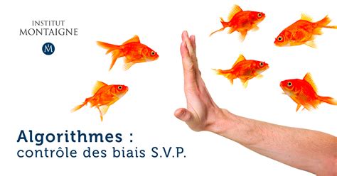 Algorithmes Contrôle Des Biais Svp Institut Montaigne
