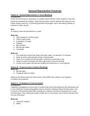 Observing Asexual Reproduction In Yeast And Hydra Practical Course Hero