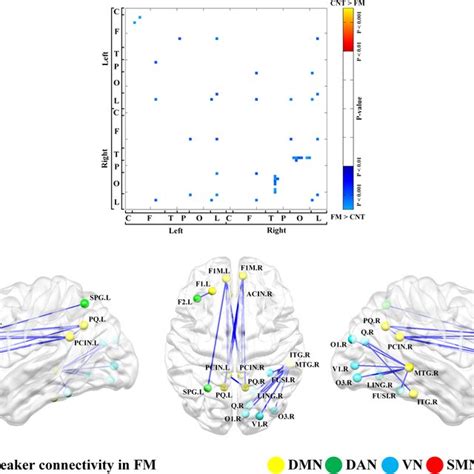 Flowchart Of Network Analysis Based On Persistent Homology Neural Download Scientific Diagram