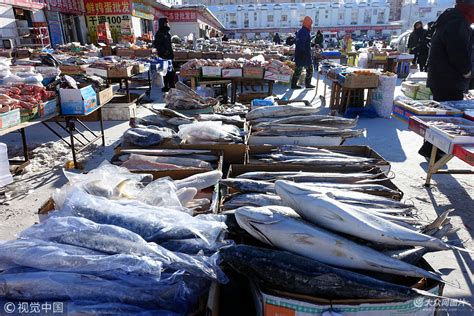 呼伦贝尔现零下40度极寒天气 满地冻货成景观 青岛新闻网