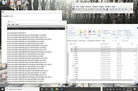 Help Opening Aiix And Aisf File Types Images Acquired Using Volocity Usage And Issues