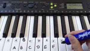 How To Label Piano Keys
