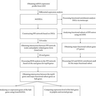 Differential Expression Analysis And Functional Enrichment Analysis