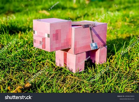 Minecraft Real Life Steve