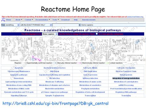 PPT Representing Biological Processes The Reactome Database PowerPoint Presentation ID 3733691