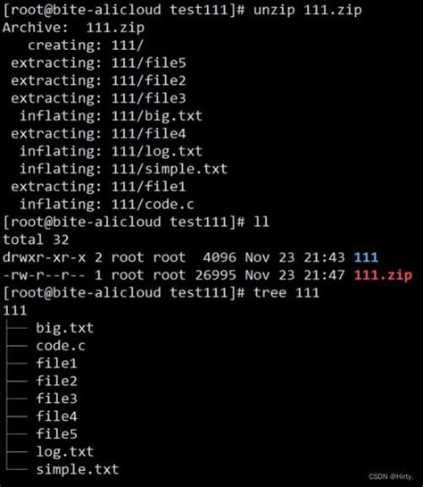 Linux系统中操作zip文件：掌握解压方法及unzip命令技巧 Linux命令大全手册