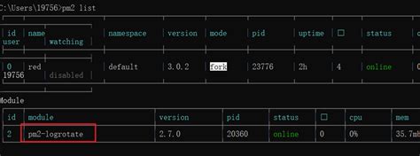 （node Red）pm2的日志管理及使用pm2 Logrotate进行日志分割 Csdn博客