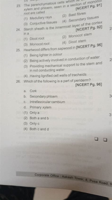Starch Sheath Is The Innermost Layer Of The Cortex In A Filo