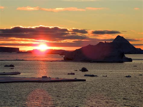 Are Insects Going Extinct What The Latest Trend In Search Means For Biodiversity