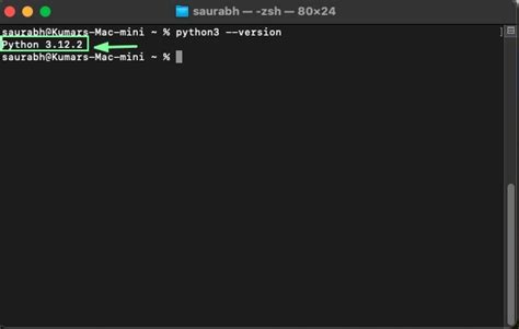 Как скачать и установить Python на Windows 11 Linux и Macos