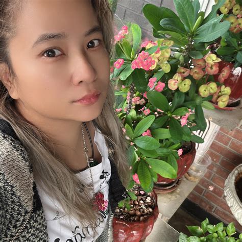 Zar Chi Lin စားရတော့မယ် အချစ်ရေ ခိုးဖို့အဆင်သင့် Facebook