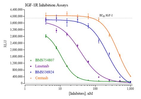 Igf 1r Reporter Assay System Human Indigo Biosciences