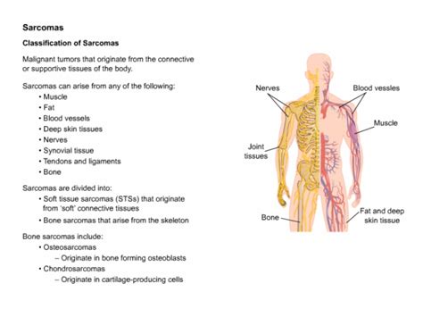 Oncology Primer Classification