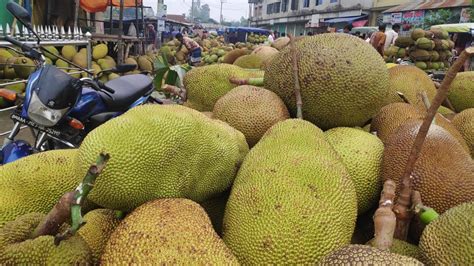 12 6 23 টাঙ্গাইলের সখিপুর বড় চাও না বাজার জেনে নিন হালচাল Youtube