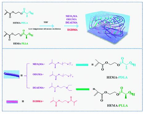 Scheme 1 Synthesis Of Double Crosslinked Temperatureph Dual