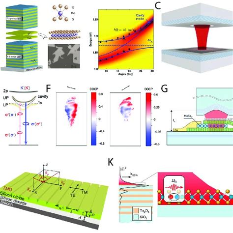 The Strong Coupling Regime In 2d Materials Cavity Systems A The Download Scientific Diagram