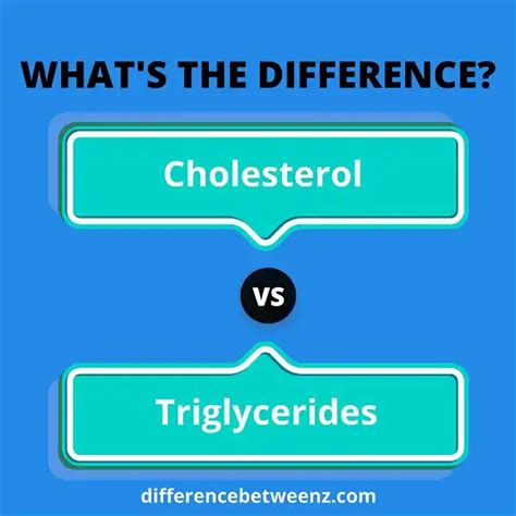 Difference Between Cholesterol And Triglycerides Difference Betweenz