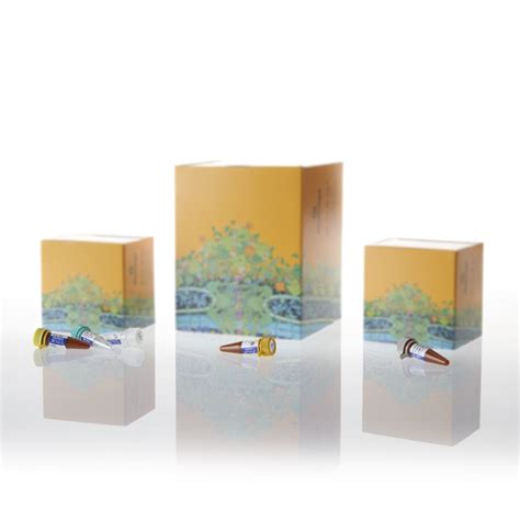 Powerplex 16 System Nerliens Meszansky As