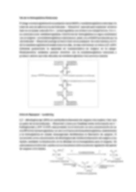 Tipos De Hemoglobina Y Vías Metabólicas En El Eritrocito Resúmenes De