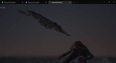 Windows Terminal Admin Vs Admin Command Prompt What S The Difference Windows Forum