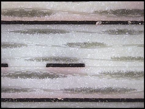Cross Section Of A Backplane Trace Showing The Alignment Of The Signal Download Scientific