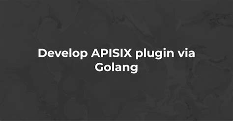 Develop Apisix Plugin Via Golang