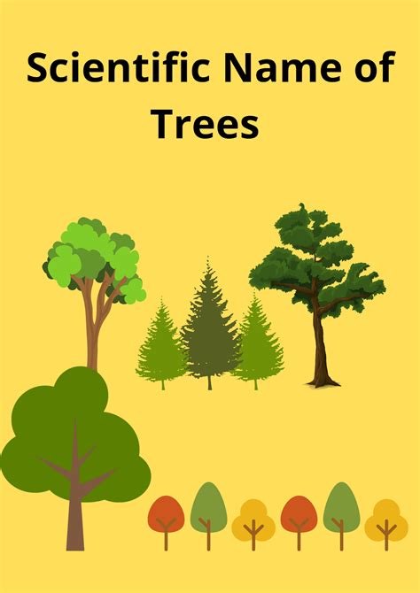 Scientific Name of Trees वकष क वजञनक नम