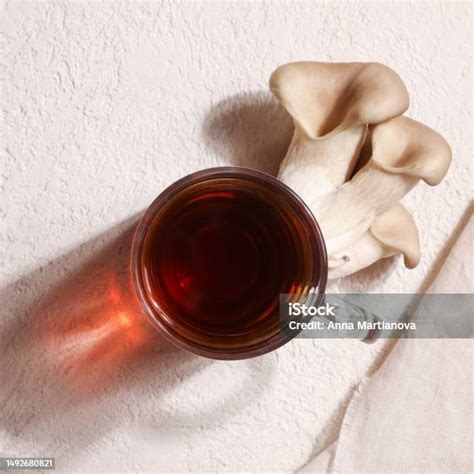 자연 의학은 스트레스를 줄이고 면역 개념을 향상시킵니다 버섯 뜨거운 음료 하얀 바탕에 버섯이 있는 유리 머그잔에 차 정사각형 갈색에 대한 스톡 사진 및 기타 이미지 Istock