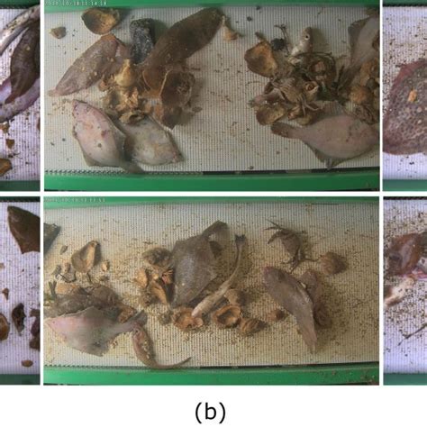 Examples Of Recorded RGB Camera A EM Camera B And Synthetic C Download Scientific