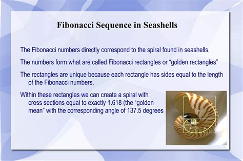 fibonaccisequence 101203110215 phpapp02 pdf