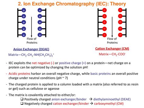Ii Protein Biochemistry Ppt Download