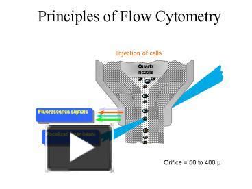 Principles Of Flow Cytometry Presentation Free To View