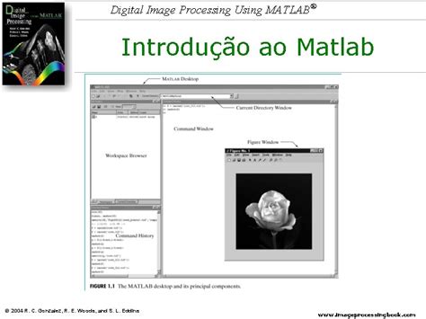 digital image processing using matlab introduo ao matlab
